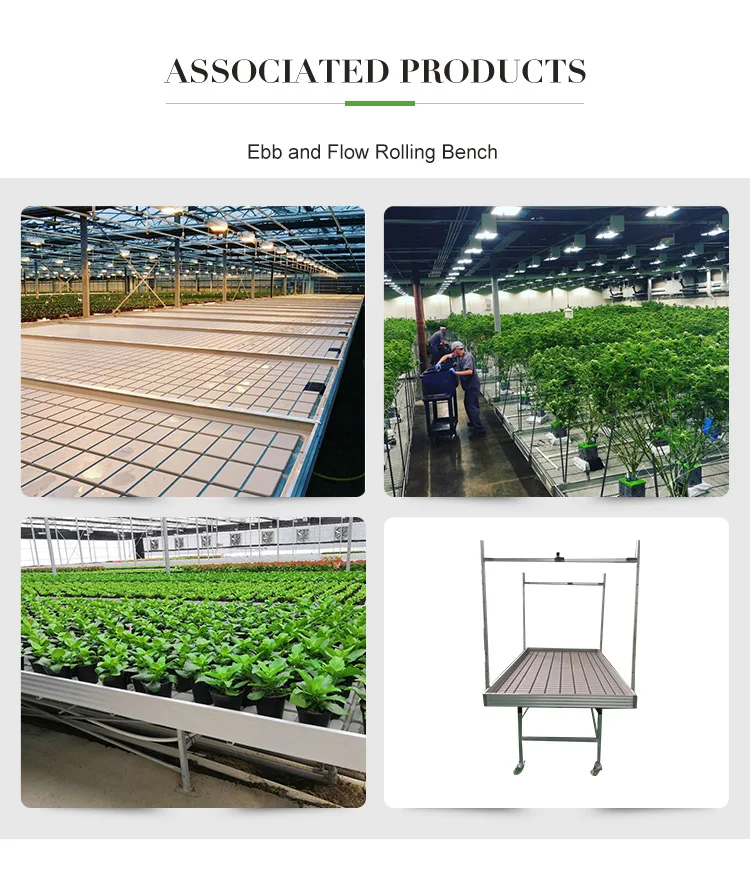 Movable Bench System Ebb And Flow Rolling Bench 4x8ft Hydroponic Ebb ...