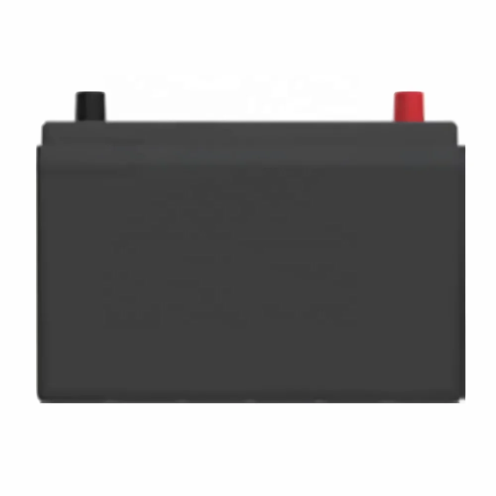 Actecmax 12v Portable Lithium Ion Batteries Ac.533.009 Remote Control ...