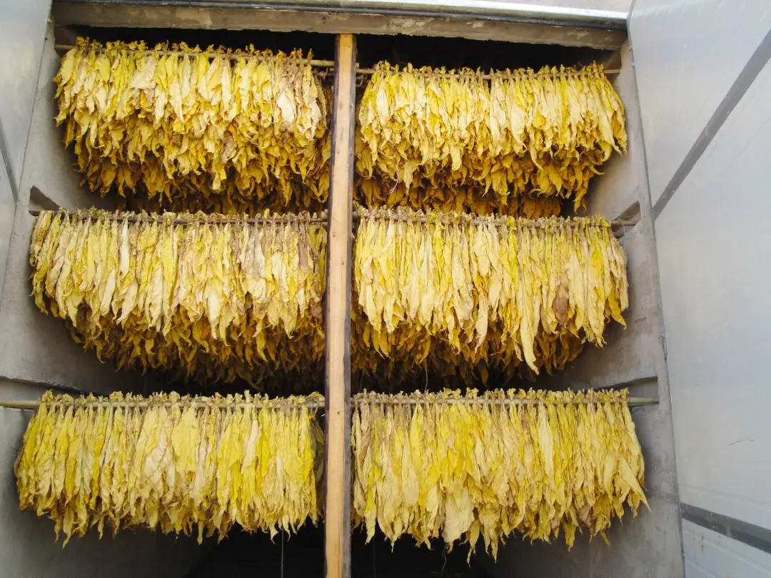 China Heat Pump Dryer - Efficient Industrial Drying Solutions