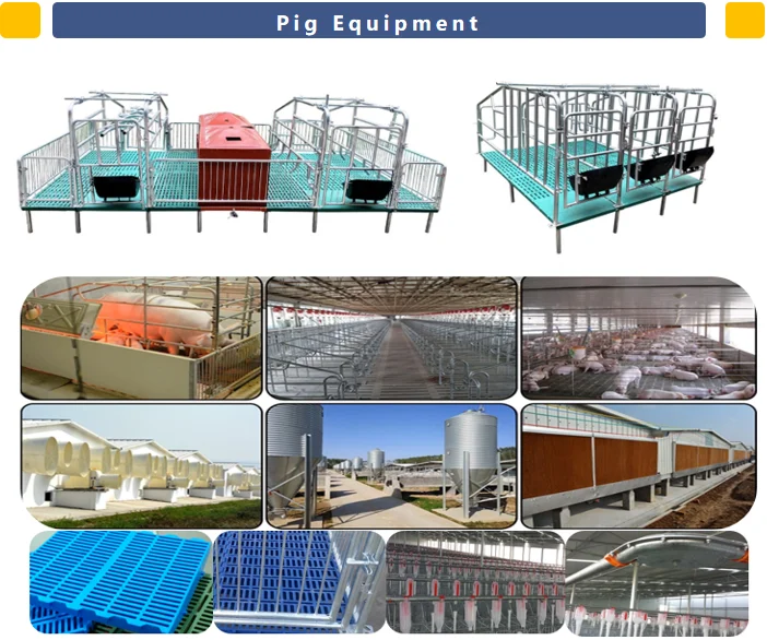 Hot Galvanizing Steel Pig House and Livestock Sheds Steel Poultry Shed ...