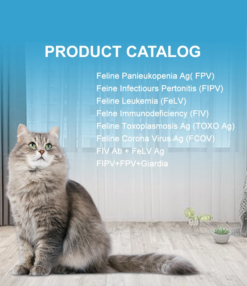 Goodoctor Animal Health Canine Parvovirus Antigen Cpv Ag Rapid Tests ...