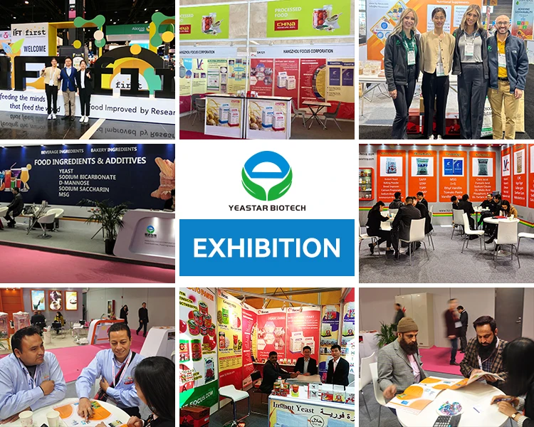 500g Alcohol Active Dry Yeast for Wine - Instant Dry Yeast