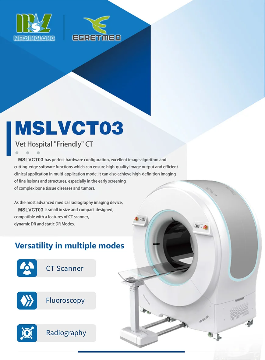 Hospital Digital Radiography Computed Tomography Veterinary Pet Medical ...