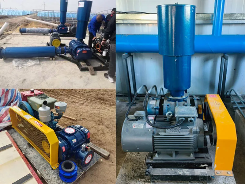 Pneumatic Conveying Roots Blower Aerator Vacuum Pumps| Alibaba.com