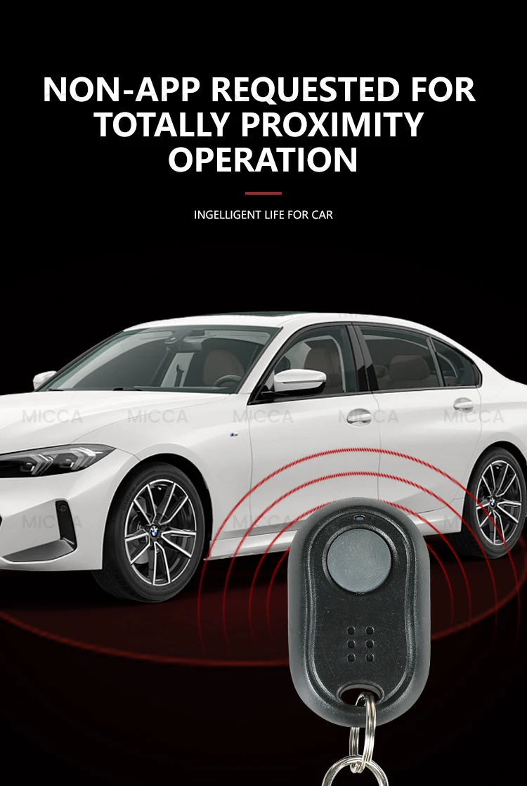 Car Immobilizer System Bypass Vibration - Secure Your Auto