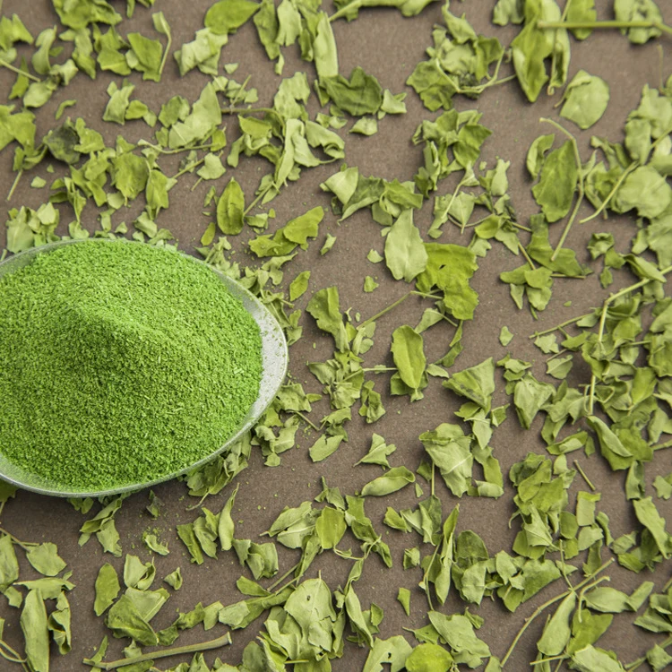 Wholesale Bulk Instant Ceremonial Slim Certified Organic Powder Matcha ...