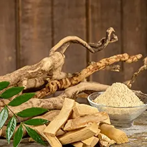 100% Pure OEM Malaysia Origin Tongkat Ali Root Extract Powder Tongkat ...