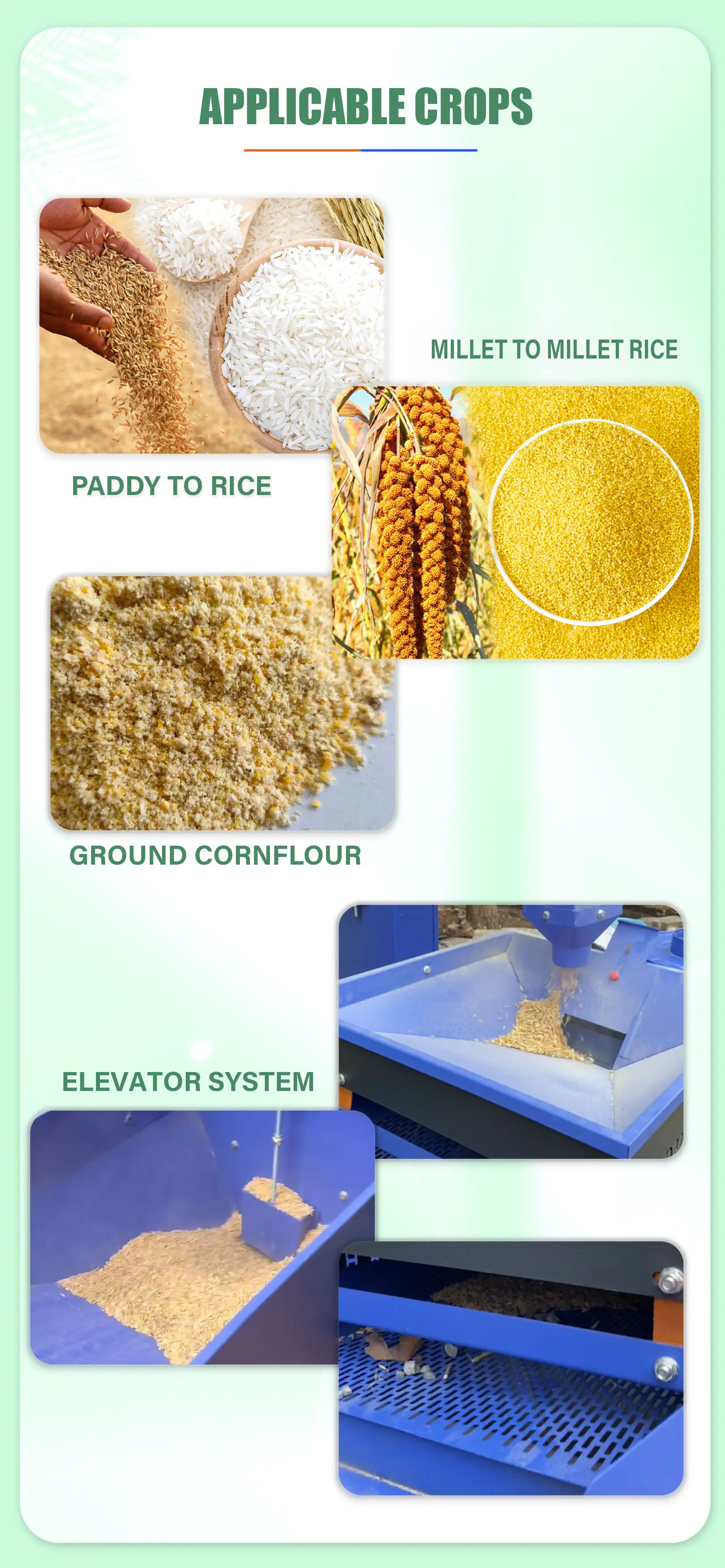 High Efficiency Rice Milling Machine by Backbone Machinery