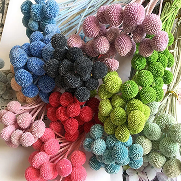 Yellow White Red Millet Dried Natural Flowers Arrangement Bouquet ...