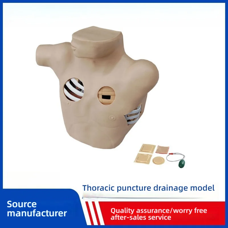 Advanced Thoracic Drainage Practice Dummy Medical Manikin