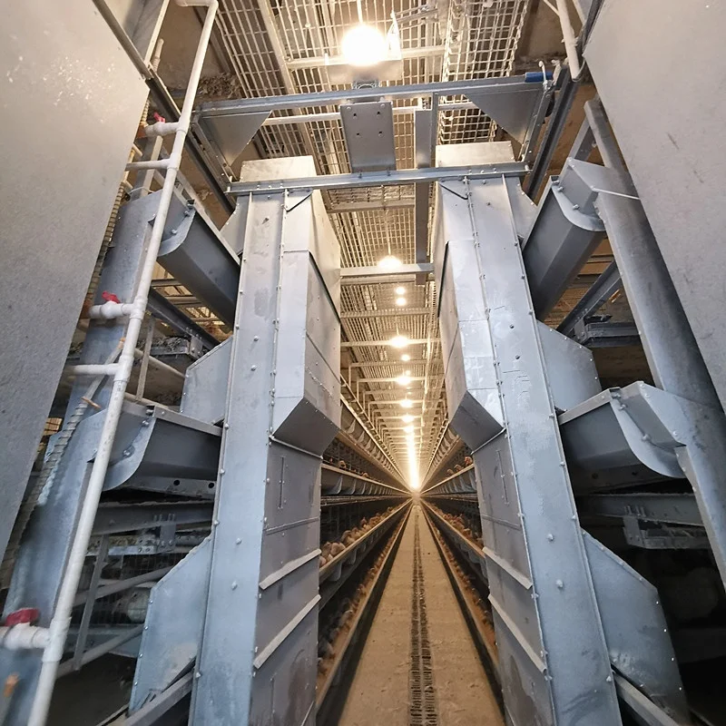 3 Tier H Type Fully Automatic Battery Chicken Broiler Cage System