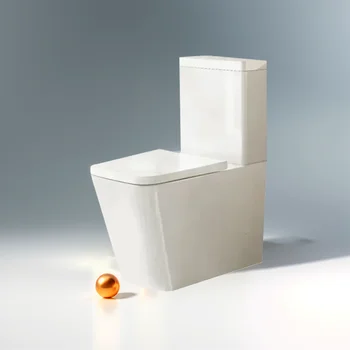 Wc Lavatory Restroom Commode Best European Style Bathroom Two-piece ...