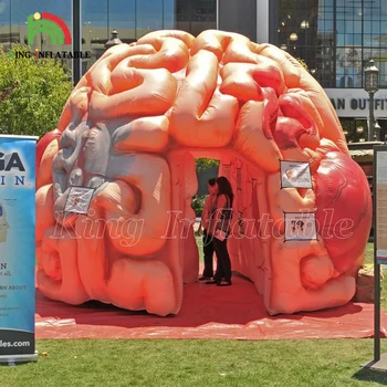 Large Inflatable Brain Model Exhibit Human Body Medical Artificial ...