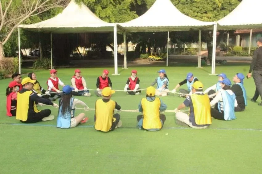 FT405-60A-CGM Racing FPV Drone Accessories-Parts for RC UAV Electronic ...