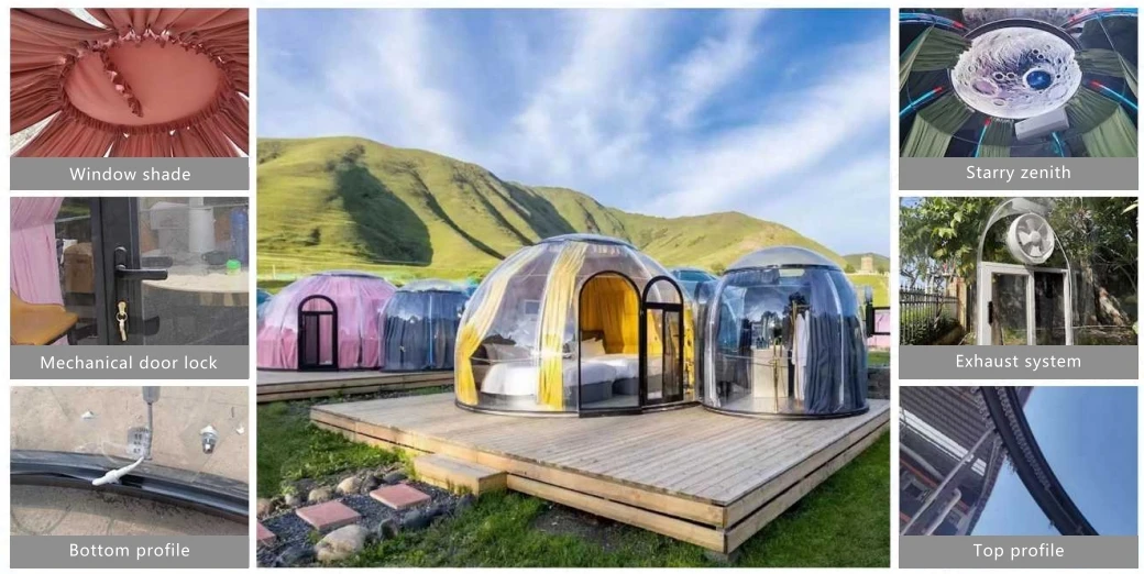 Luxury Capsule Houses - Modern Outdoor Transparent Tents