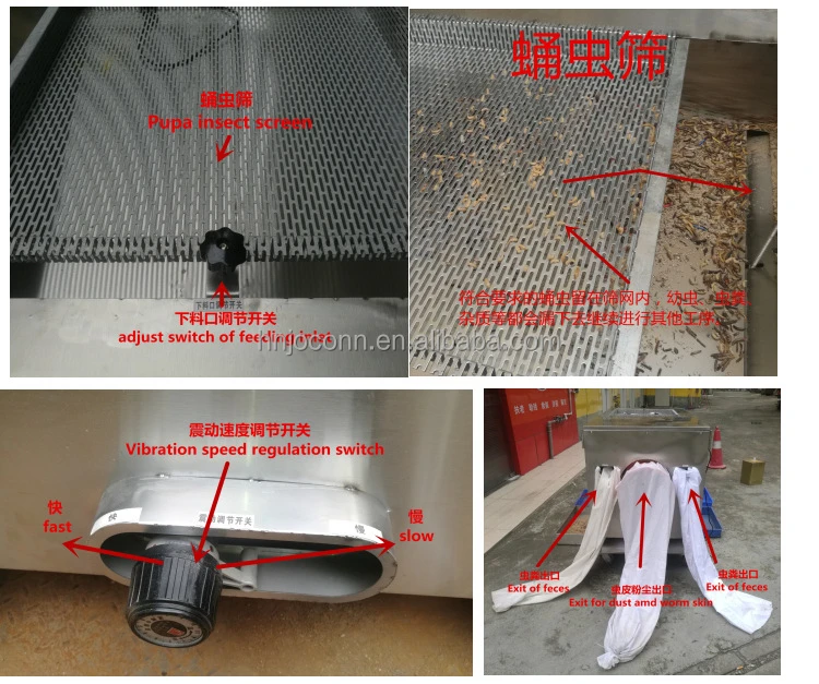 Mealworms Screen Machine - Efficient Sorting Solutions