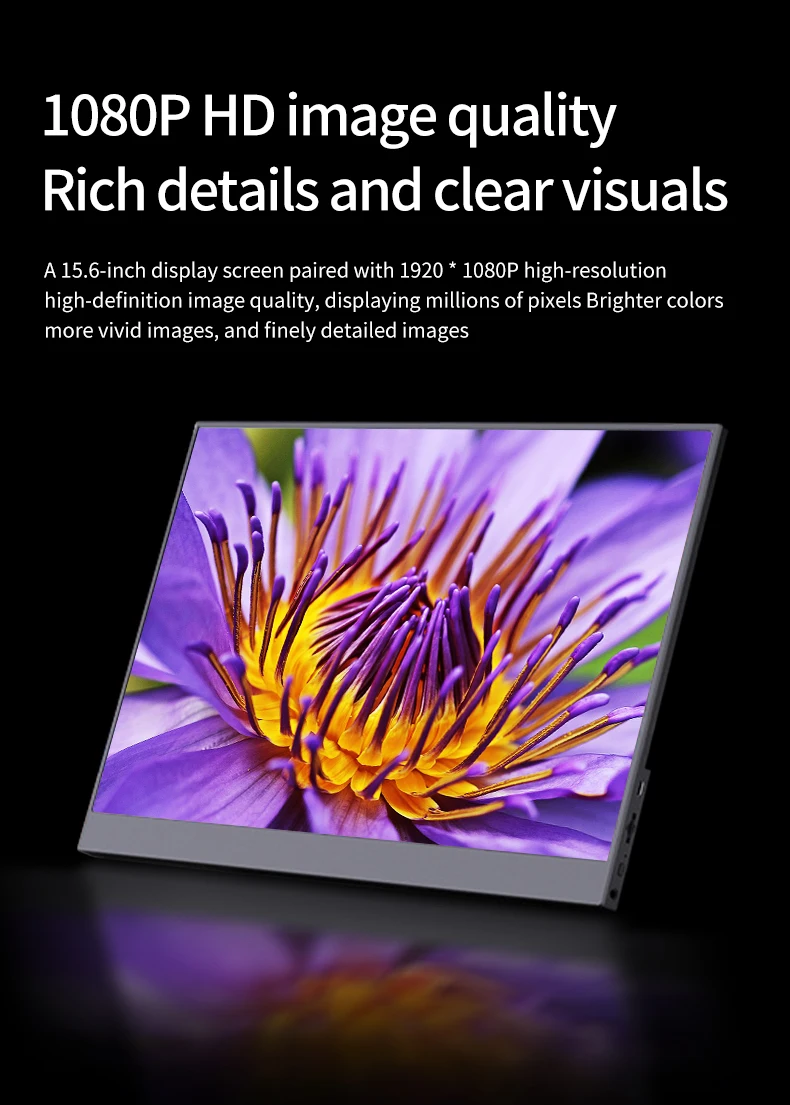 15.6 Inch Portable Monitor - 100% Srgb Display Quality