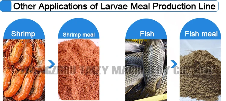 Automatic Feather Shrimp Fish Blood Meal Processing Plant| Alibaba.com