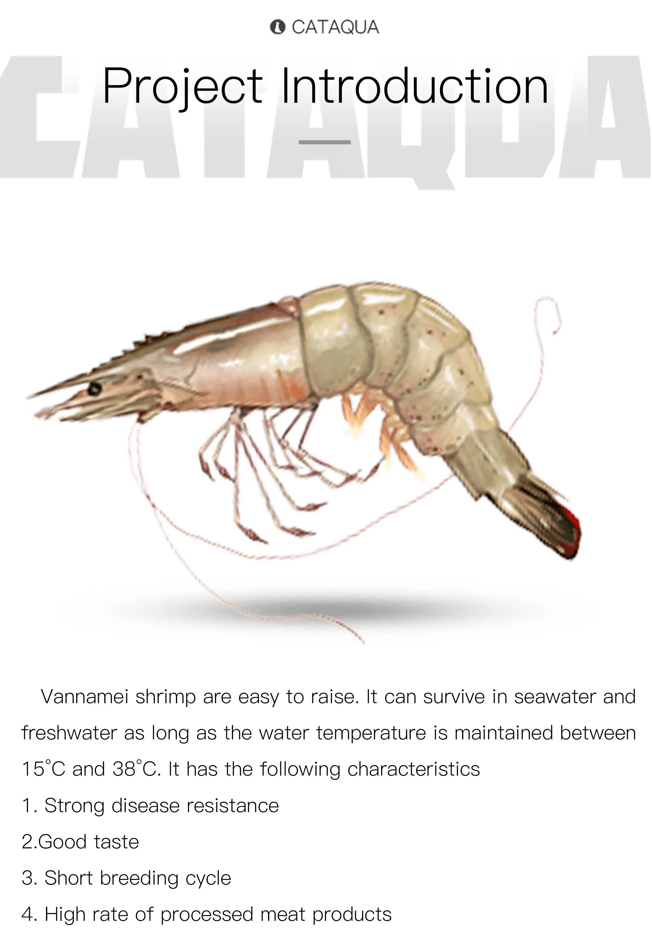CATAQUA RAS System for Vannamei Shrimp Farming Equipment