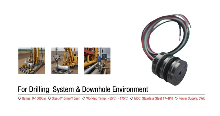 Pressure Sensor for Drilling and Downhole - Customized Support