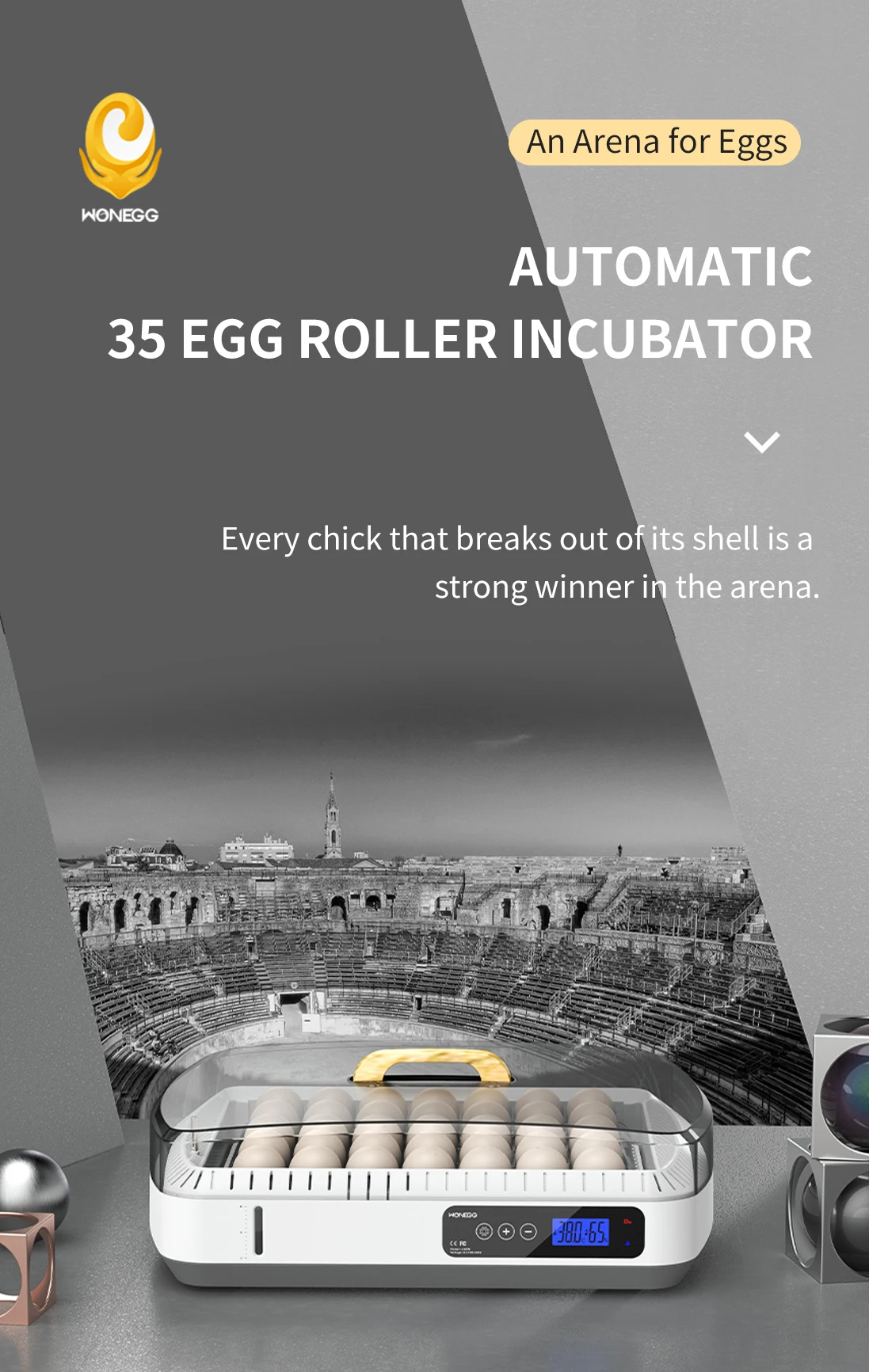 Hhd Wonegg Bird Eggs Incubator Machine Fully Automatic Hatchery ...