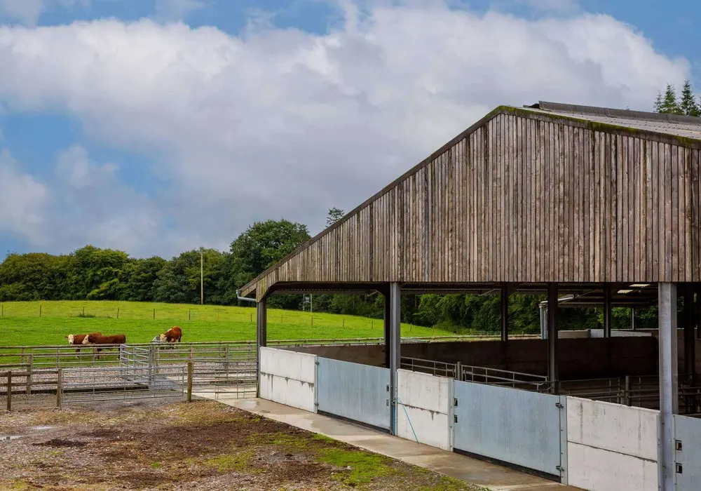 Fast Build Prefabricated House Steel Structure Building Horse Barn ...