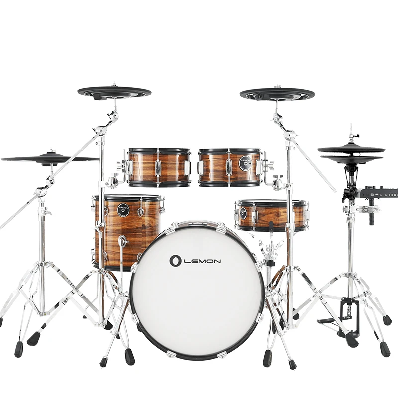 T950 DWG Lemon Drum Electric Drum Kit Electronic Drum Set All Mesh Head ...