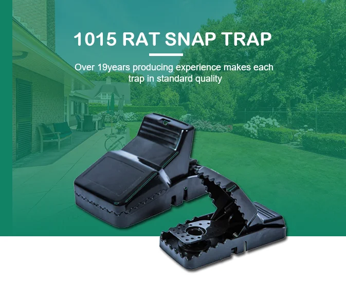 Humane Kill Plastic Large Black Rat Snap Trap for Rat Trapping