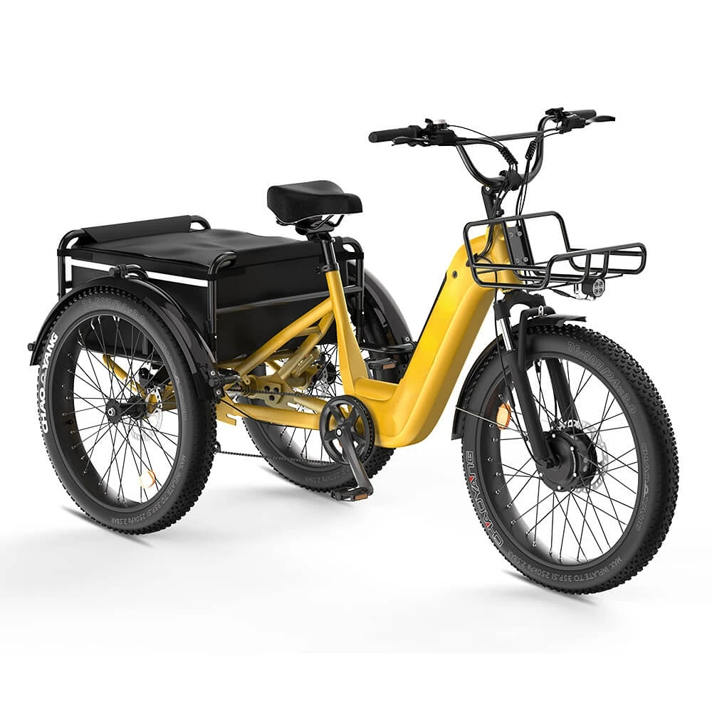 Warehouse Fast Delivery Cargo Bike 3 Wheels Fat 24inch Hydraulic Brakes ...