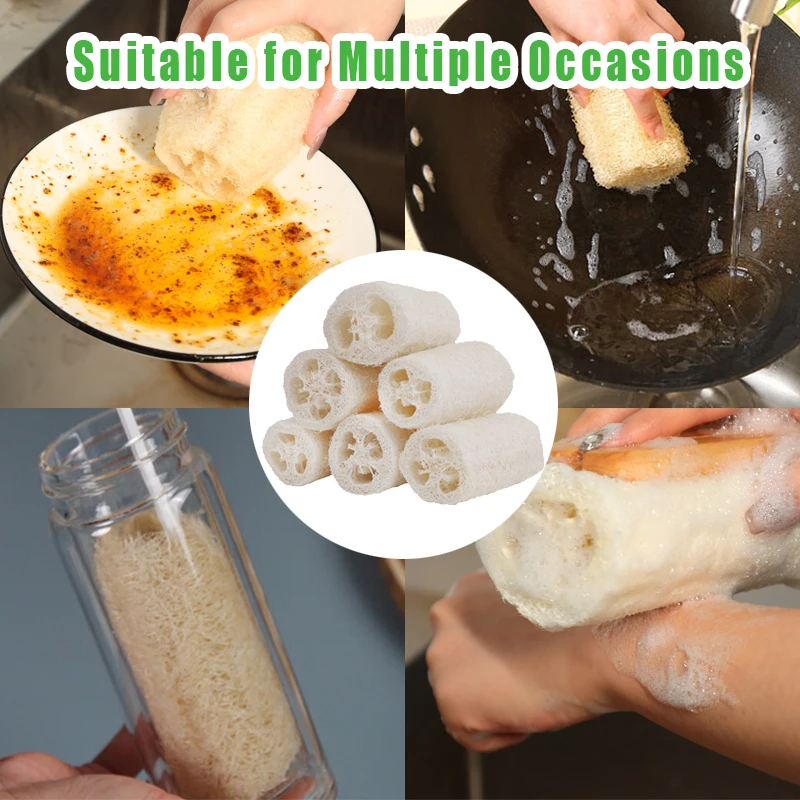 Natural Plants Environmentally Friendly Loofah Kitchen Supplies ...