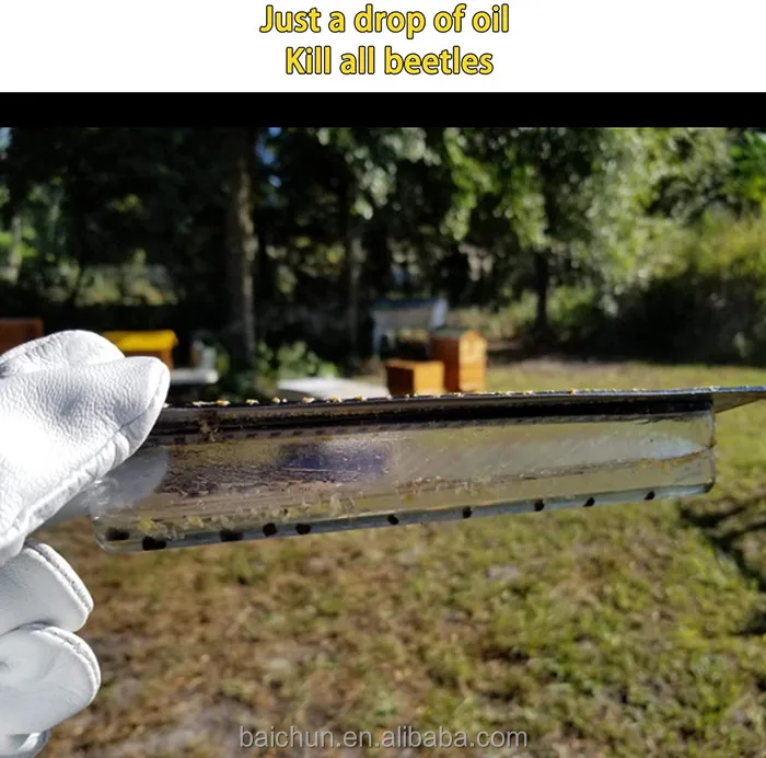 40PCS Small Hive Beetle Traps - Effective & Natural Control