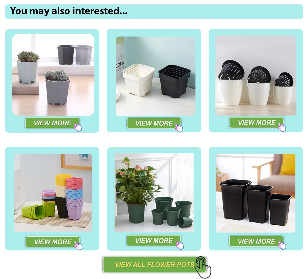 Garden Decoration Tall Slit Square Transparent Clear Plastic Bonsai ...