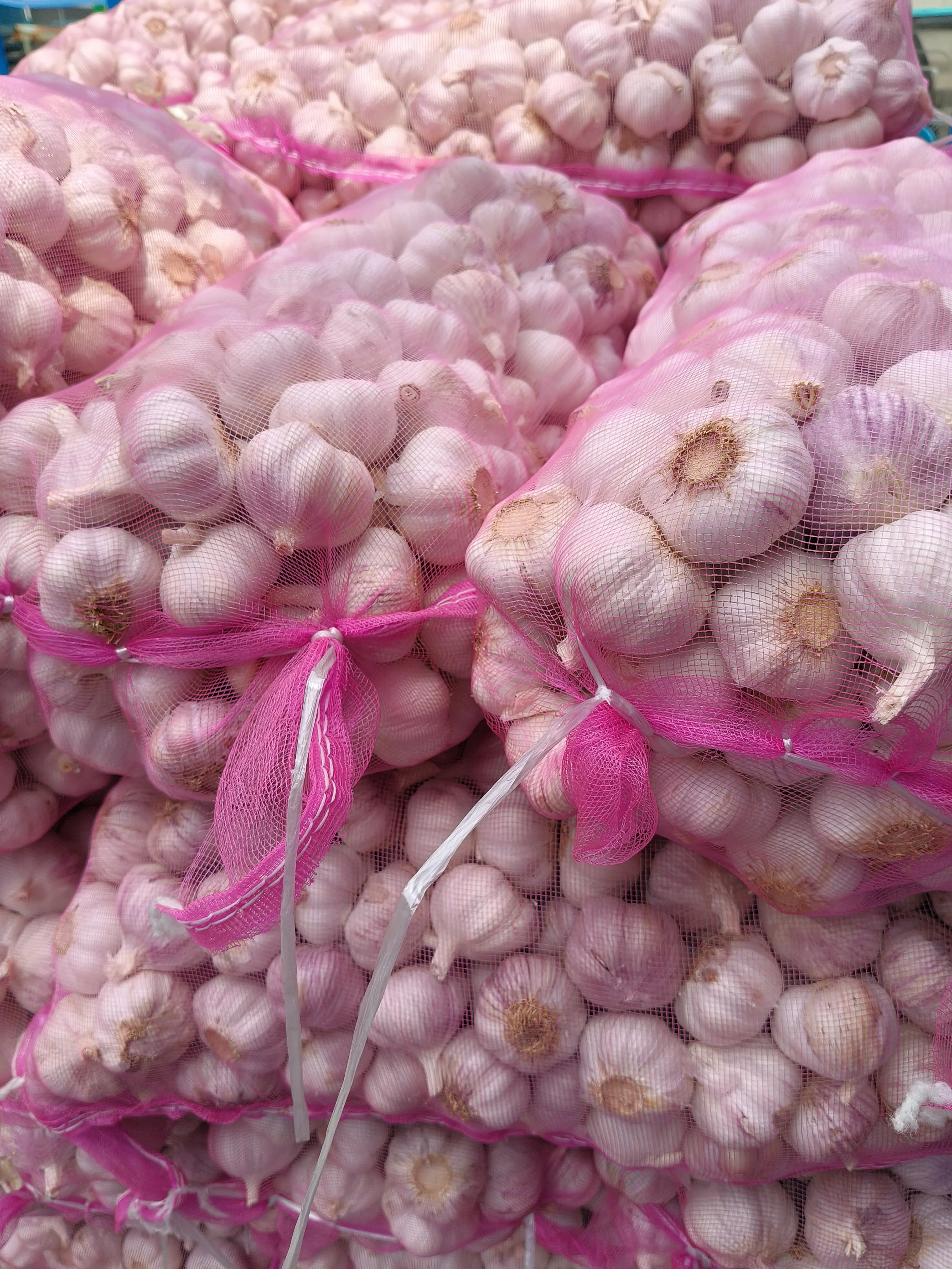 Fresh Garlic Chinese New Crop 2025 Ail Supply As Garlic Normal White ...