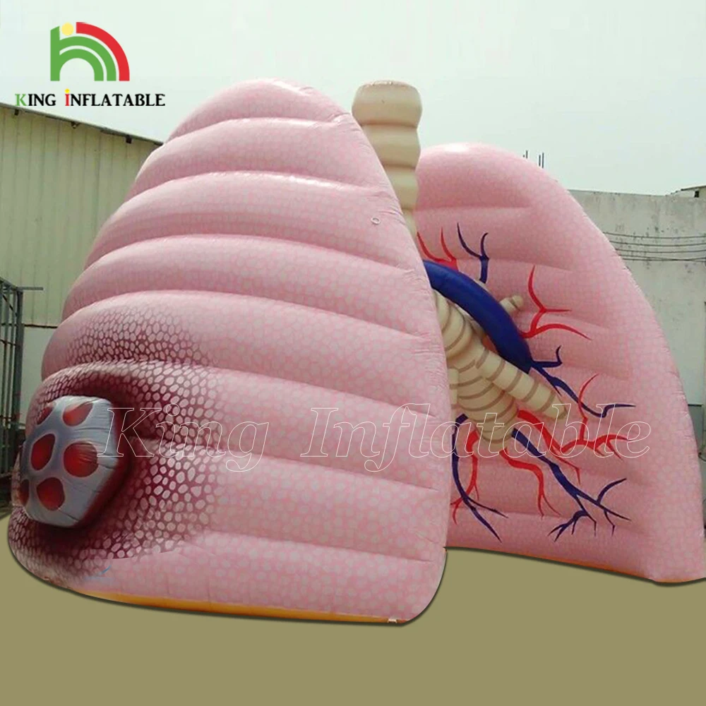 Giant Inflatable Anatomical Lungs Model Medical Inflatables Exhibits ...