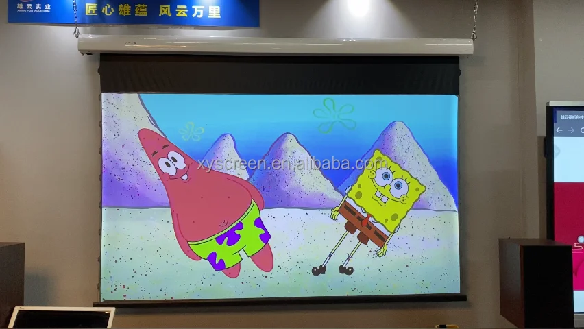 100 Inch Motorized Electric Projector Screen Ust Alr Roll Up Pet ...