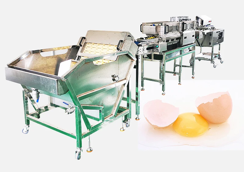 Industrial Quail Egg Washing Washer Egg Cracking Broken Remover Yolk ...