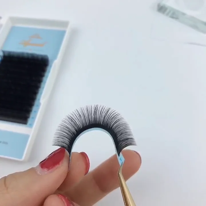 Wholesale Black Matte Private Logo Eyelash Extension 0.03 0.05 0.07 C Cc D Dd L Curl 20mm 25mm ...