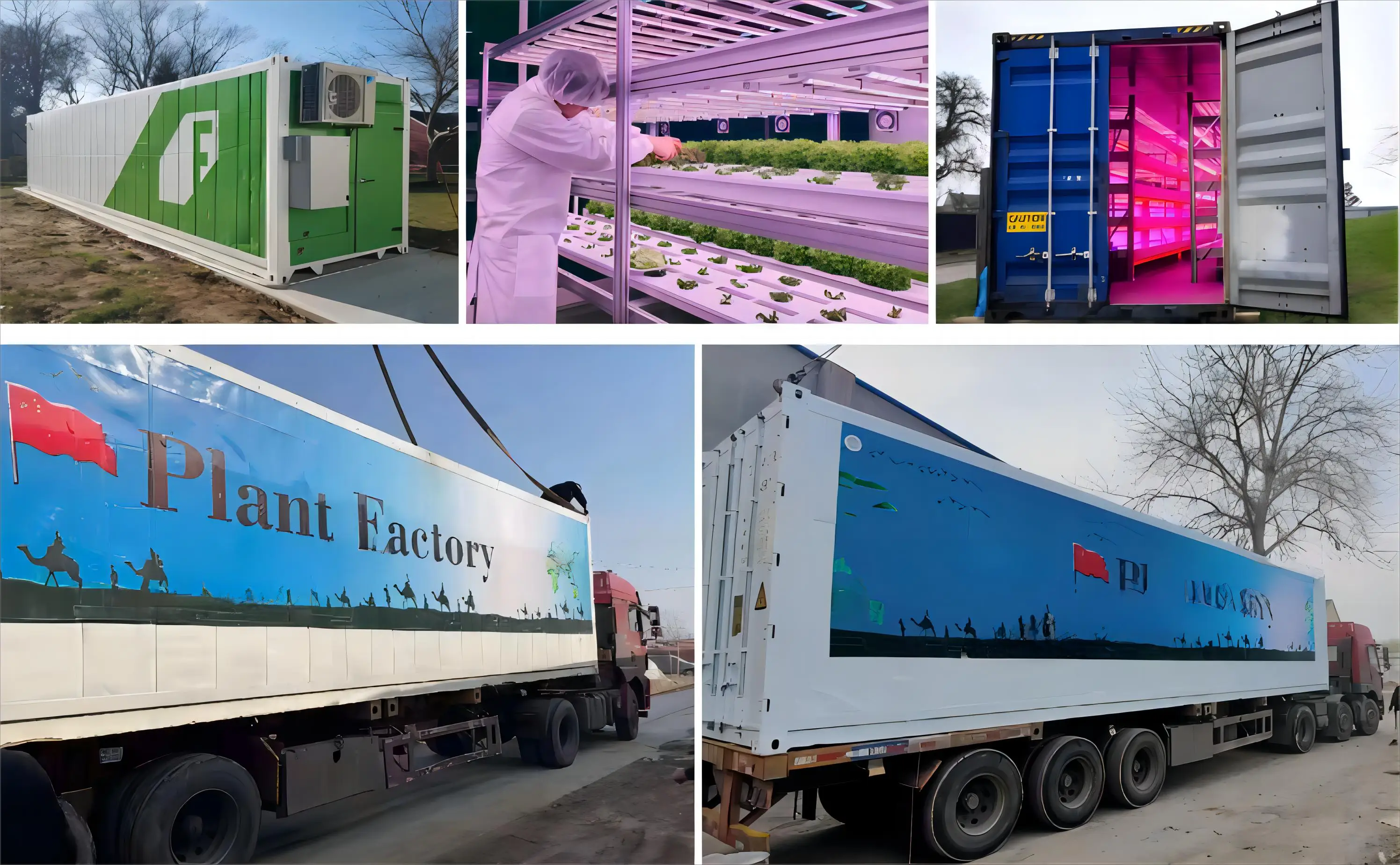 Planting Smart Vegetable Room Planting Equipment Soilless Hydroponic ...