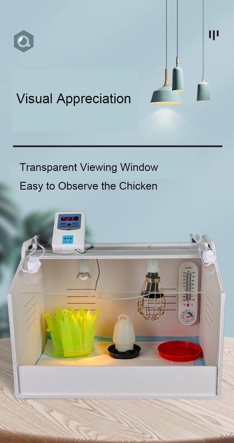 Chick Brooder Made In China Chicken Brooders Boxes Chick Hatchery ...