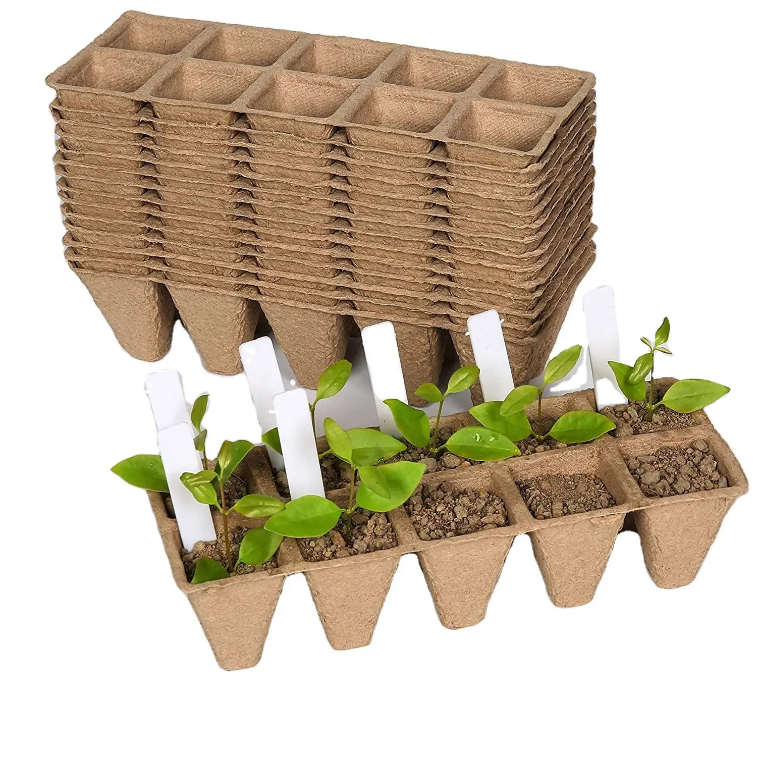 10 Cells Disposable Biodegradable Paper Pulp Seeding Tray Garden Plant ...