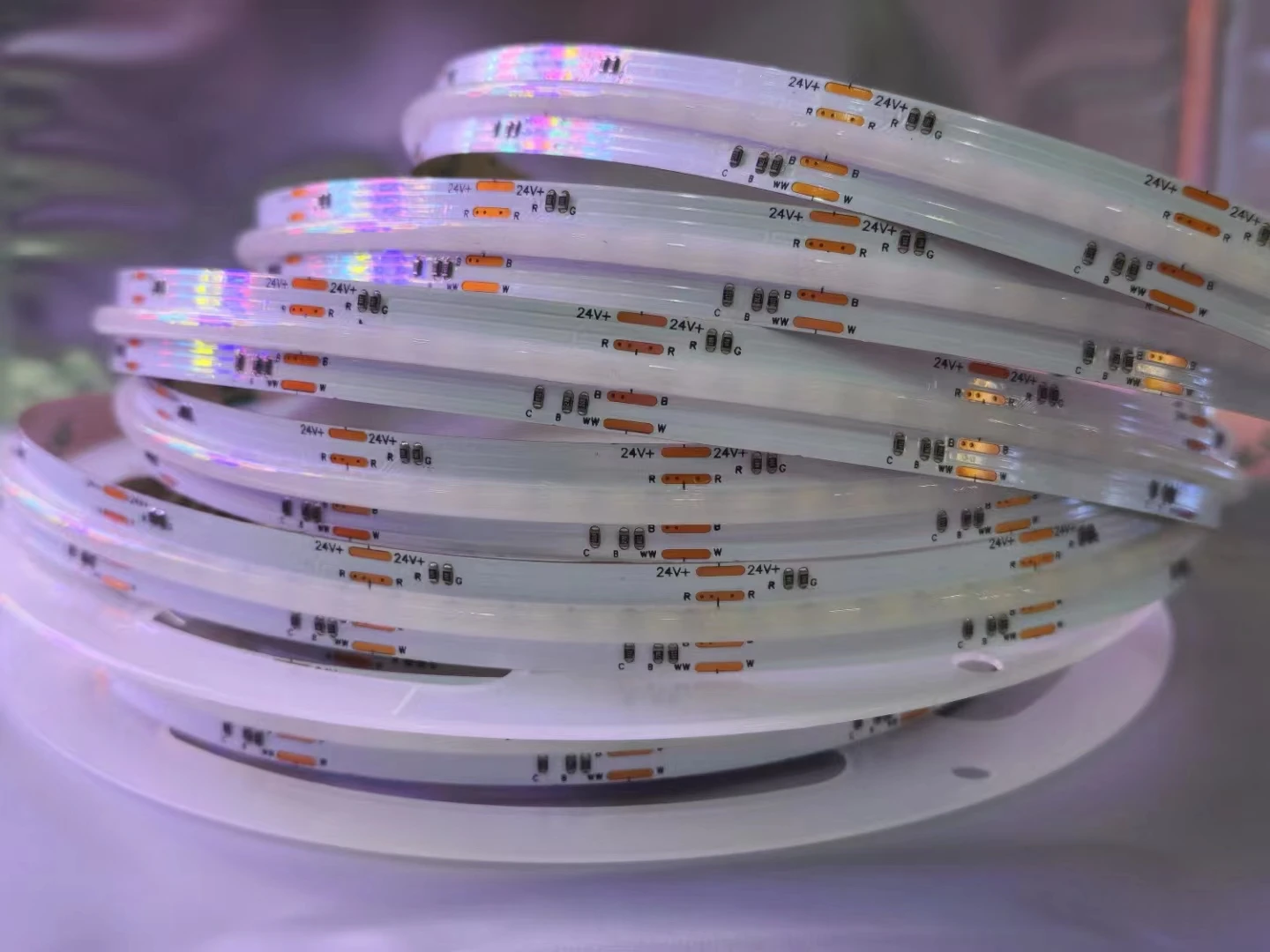 Dream Full Color RGBIC RGBW COB LED Strip 12V 24V Smart Light