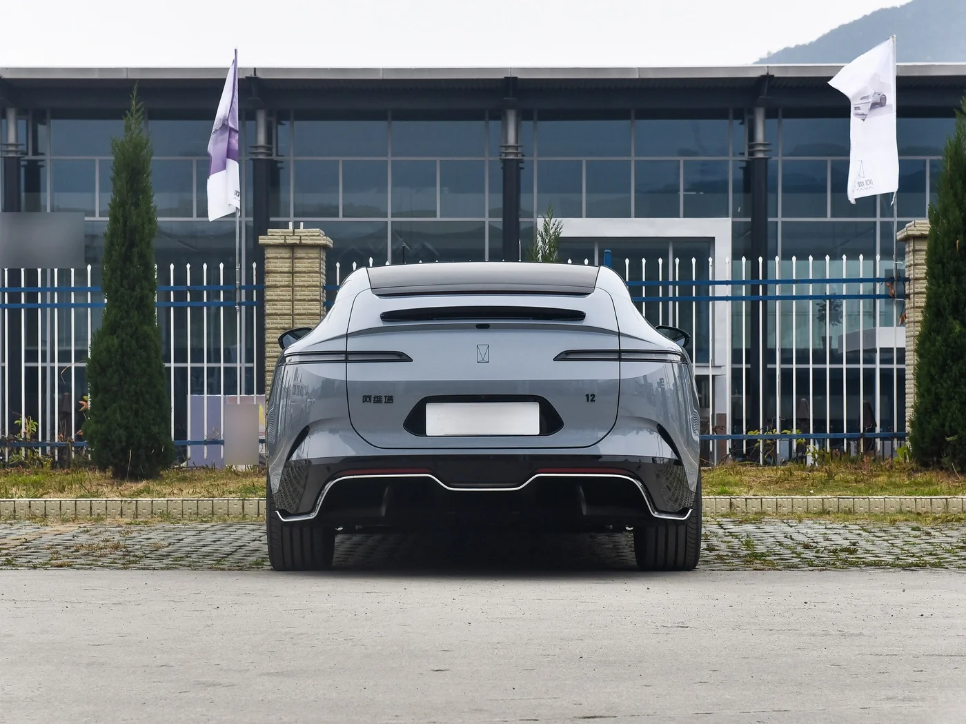 Coche Electrico Avatar 12 Single Motor Dual Motor 4 Door 5 Seat ...