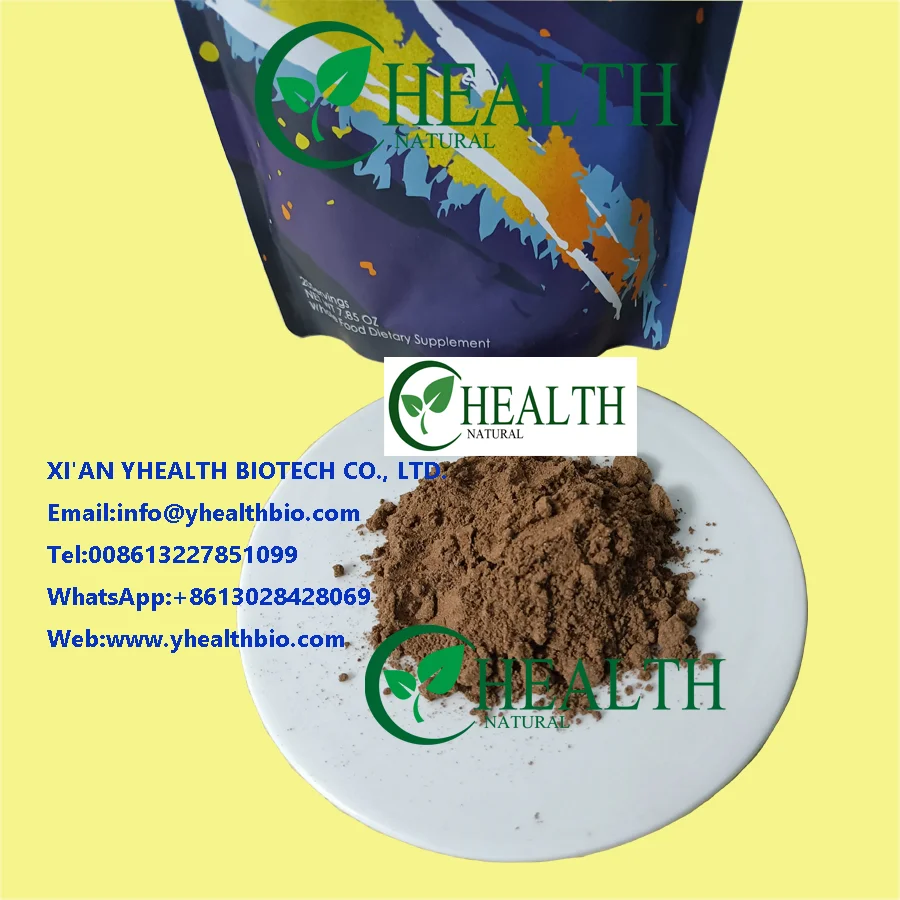 Mushroom Hot Cocoa Help You Get Deep Sleep Winds Down Your Mind ...