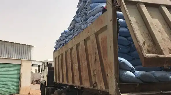 Highest Quality Sudanese Doum Palm,Doum Fruit,Doum Harvested Directly ...