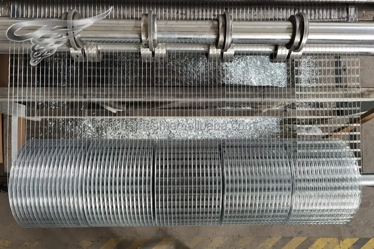 Cylinder Filter Basket Sinker for Dissolution Test of Capsules and ...