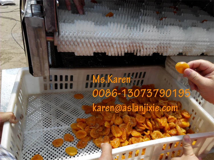 Prune Cleaning Washing Production Line / Dried Prune / Apricot / Raisin ...