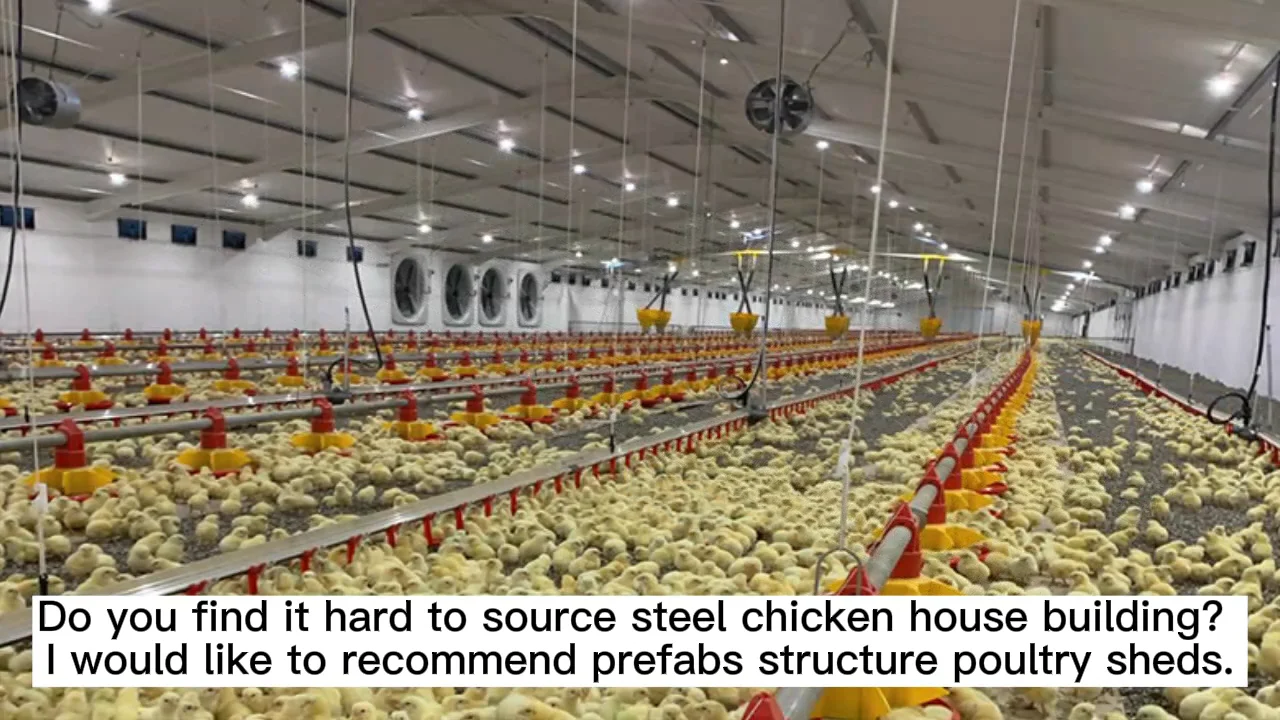 Economical Poultry Farm Prefab Frame House Commercial Chicken Houses ...
