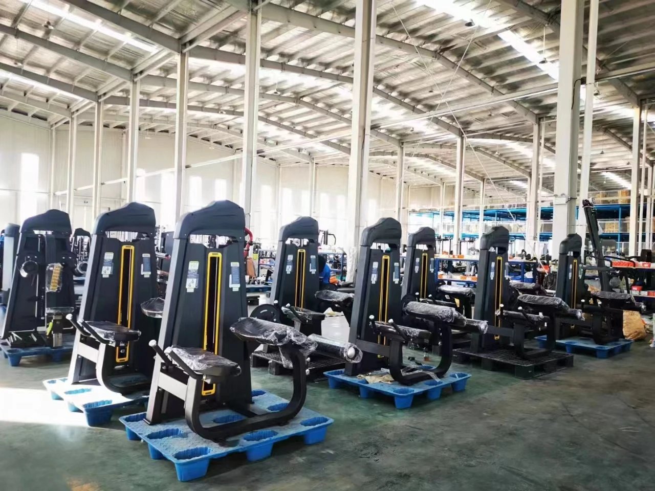 Selectorized Weight Stack Machine Camber Curl Triceps Biceps Curl ...