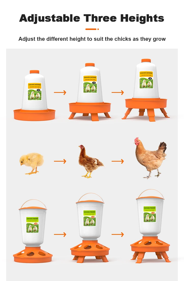 Height Adjustable Chick Feeder - Durable Poultry Solutions