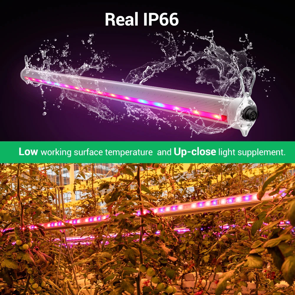 100w 2 Sides 4 Sides Supplemental Inter Light Greenpower Led ...